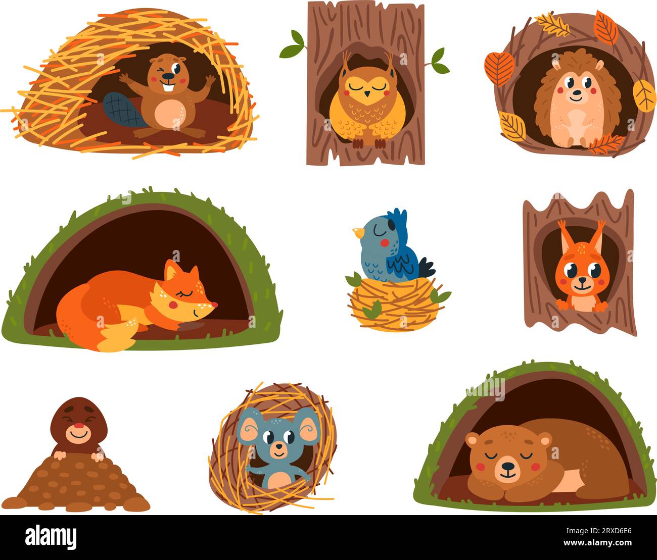 Sleeping in tree hole Cut Out Stock Images & Pictures - Alamy
