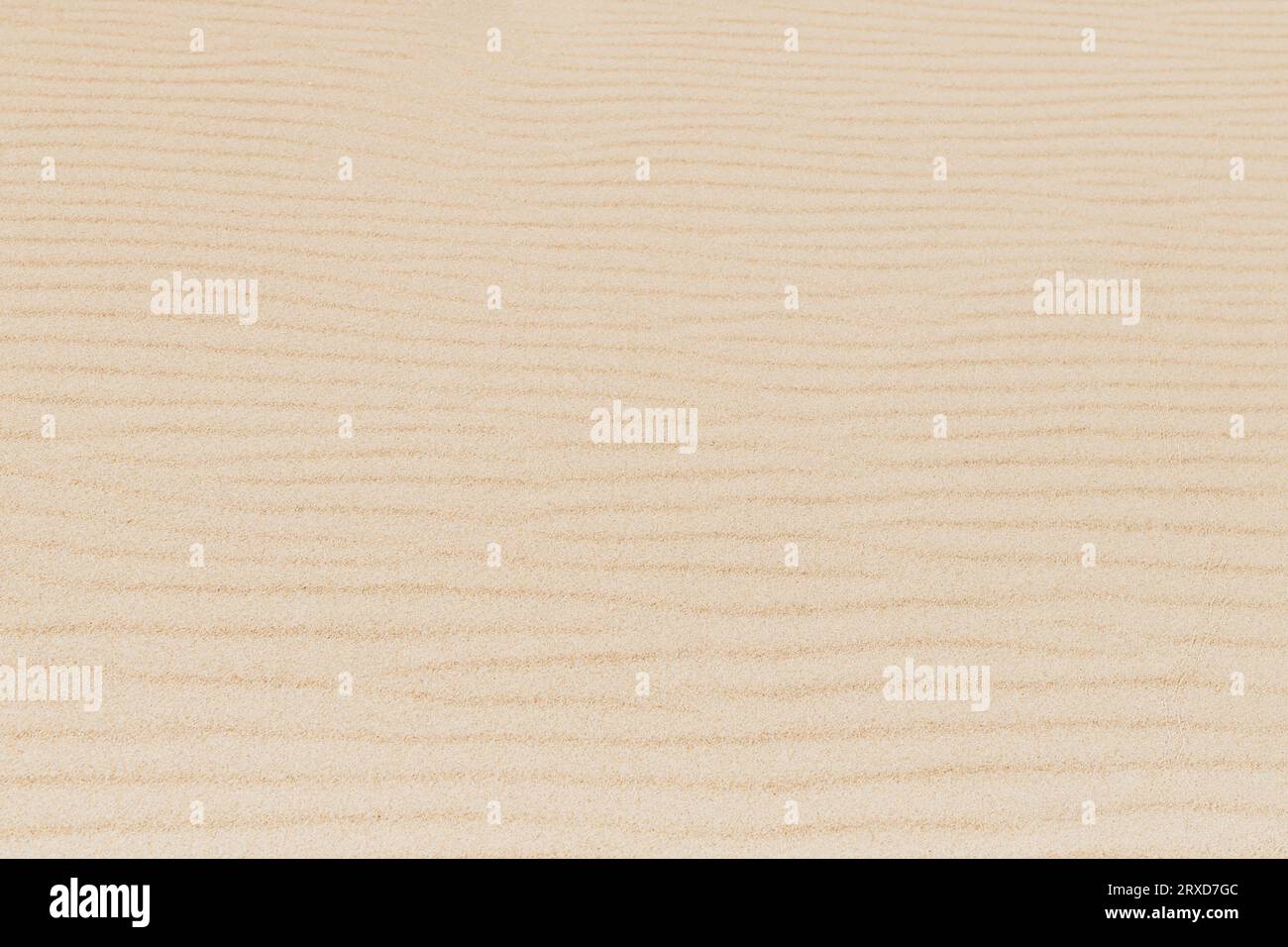 Full frame of sandy background on the beach Stock Photo - Alamy