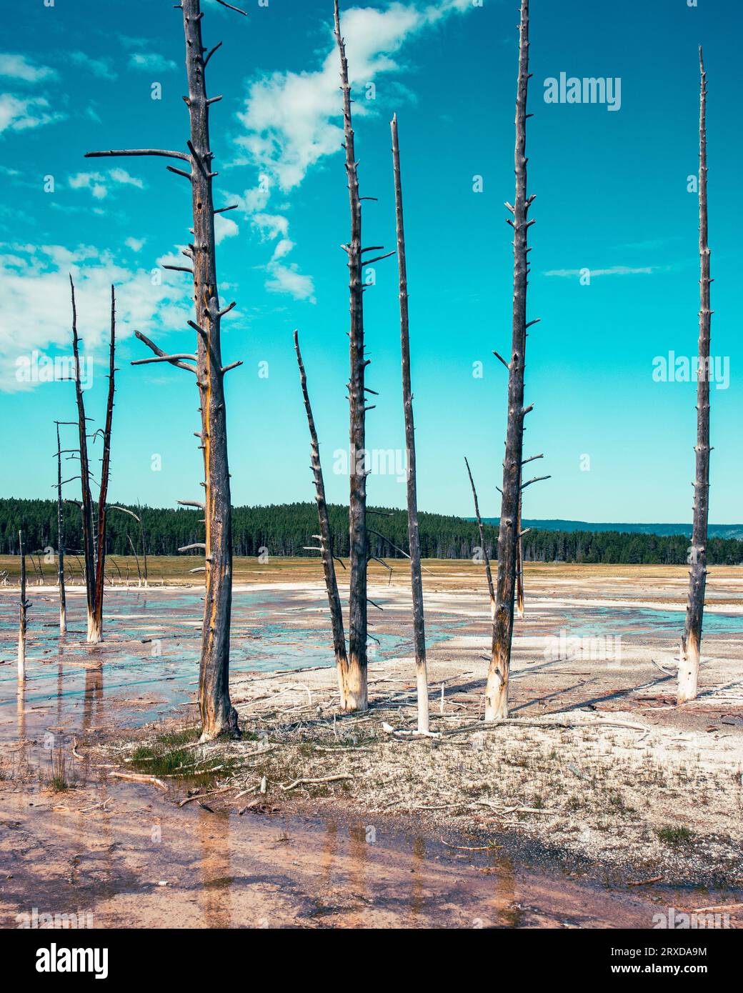 Yellowstone National Park Hot Springs Geysers Stock Photo - Alamy