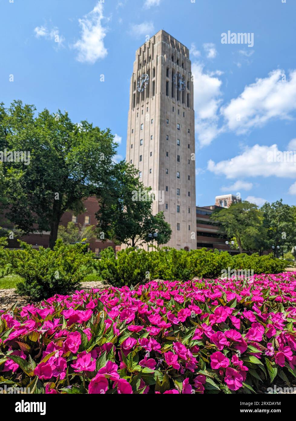 University michigan wolverines hi-res stock photography and images - Alamy