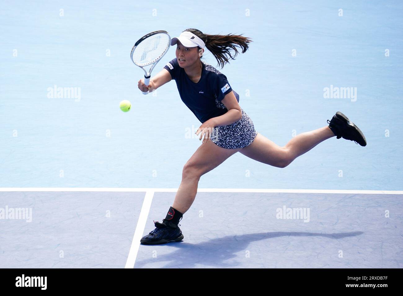 Sakura hosogi hi-res stock photography and images - Alamy