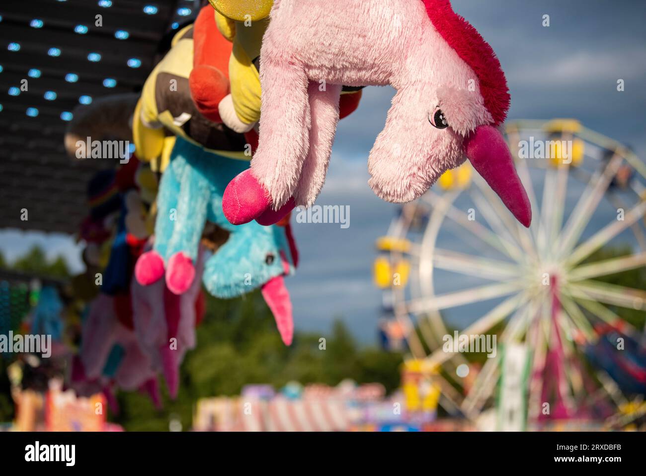 Wholesome fun for the entire family awaits visitors to the county fair ...