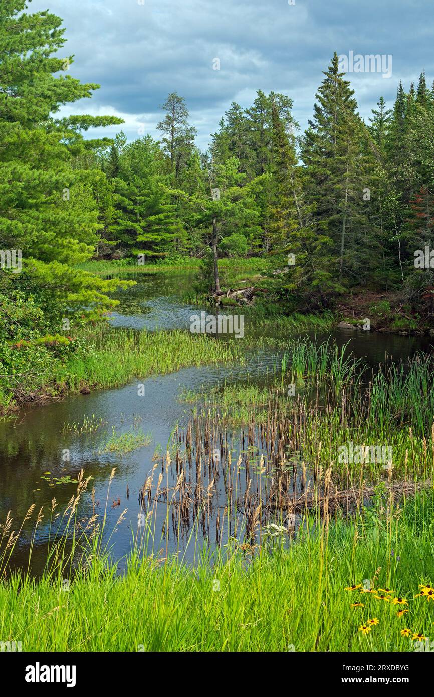 Quiet Inlet in the North Woods on Sullivan Bay in Voyageurs National ...