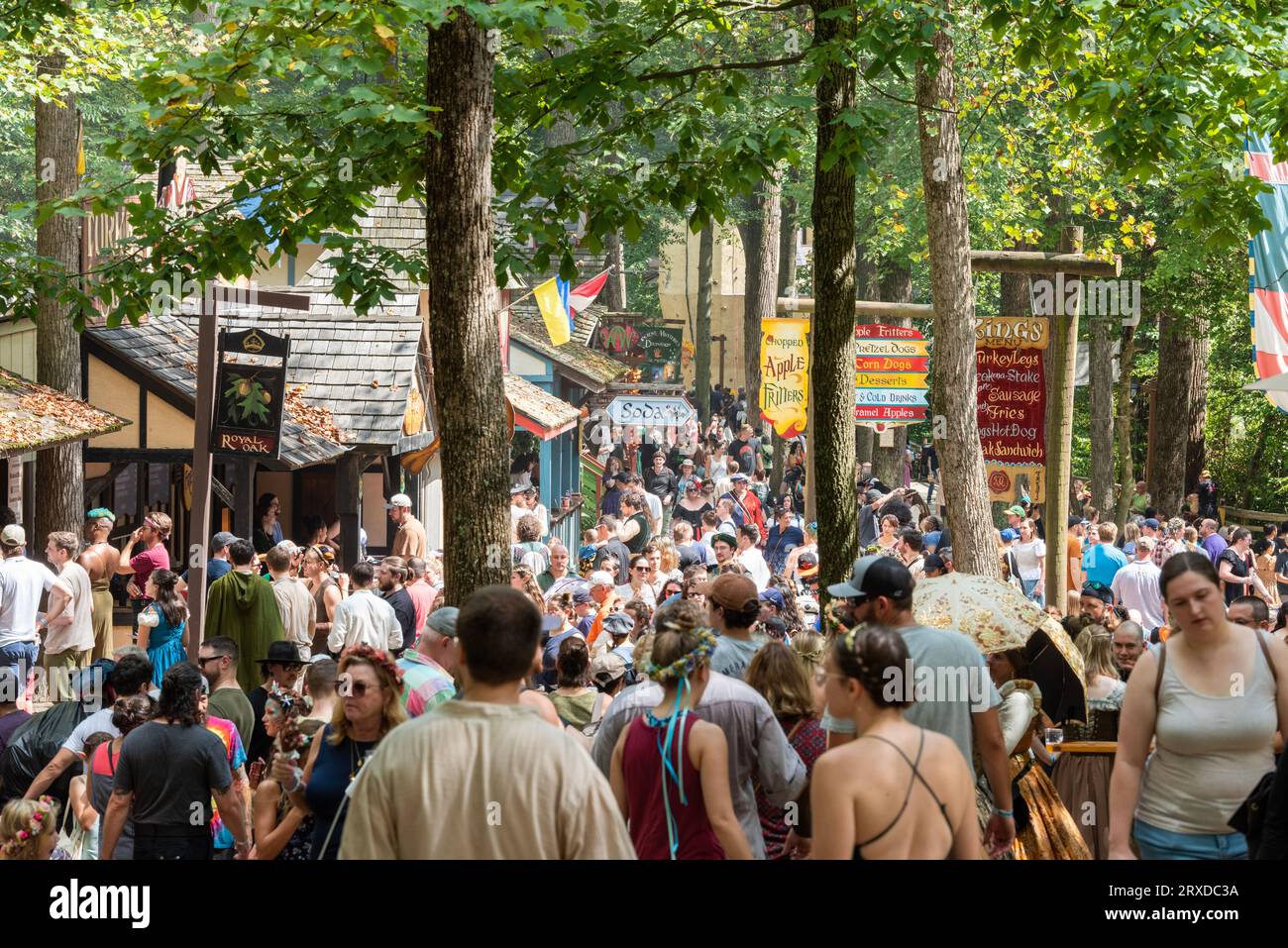 Despite the heat and humidity, a crowd of people attend a Renaissance ...