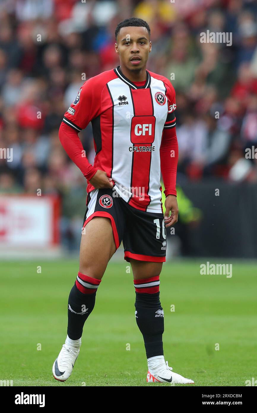 Cameron Archer #10 of Sheffield United during the Premier League match ...