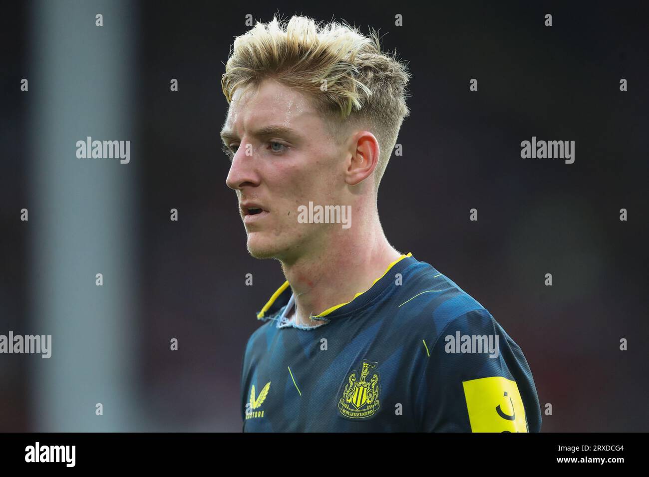 Anthony bramall hi-res stock photography and images - Alamy