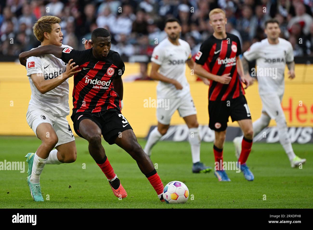 Pacho frankfurt hi-res stock photography and images - Alamy