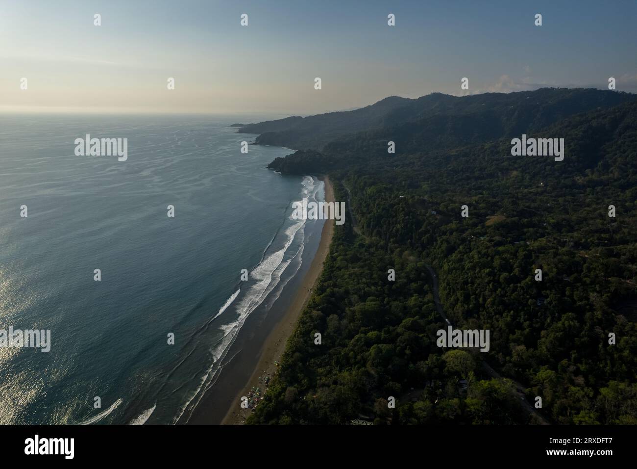 Rainforest meets city hi-res stock photography and images - Alamy