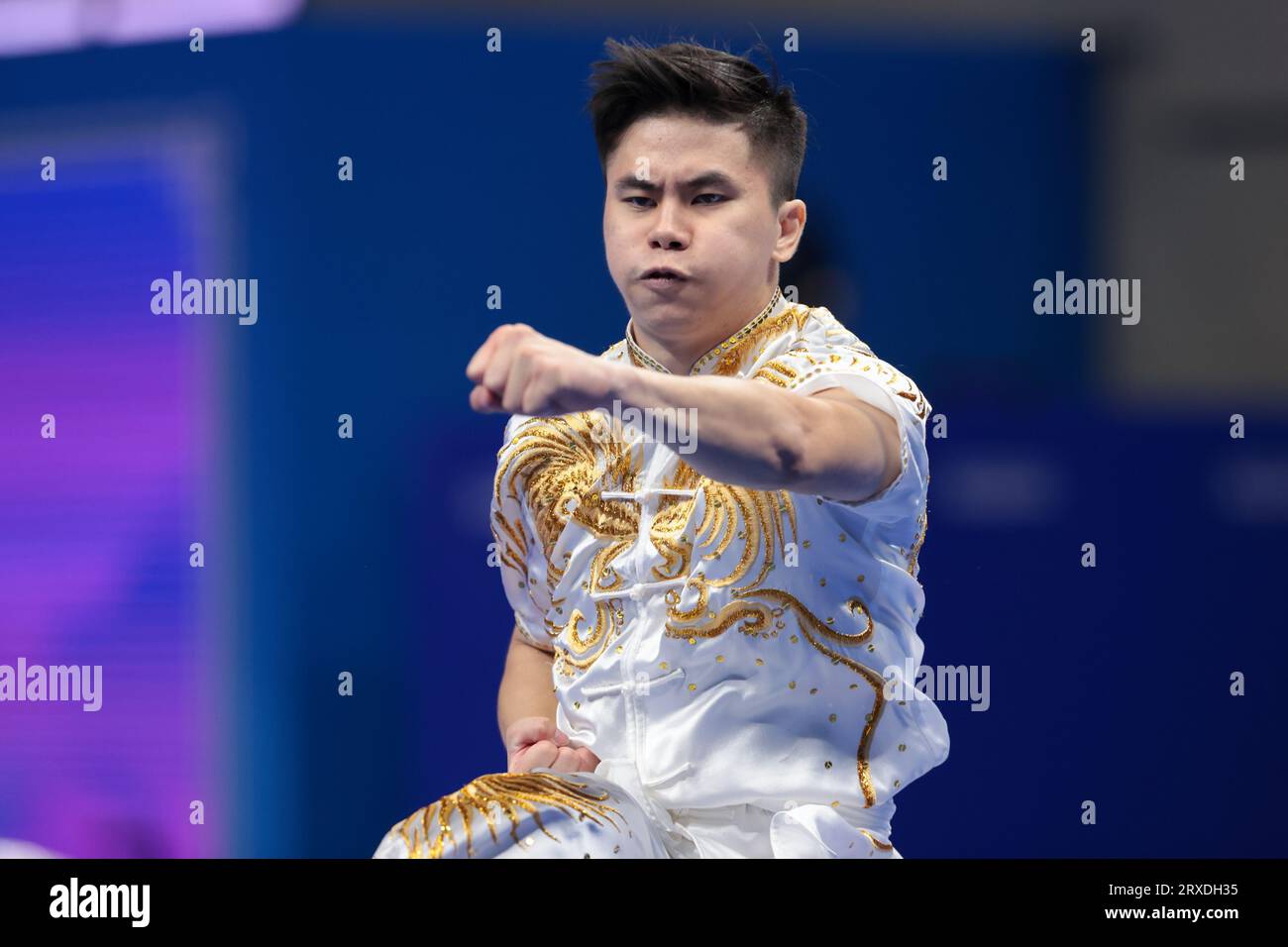 Hangzhou, China. 24th Sep, 2023. Marvelo Edgar Xavier (INA) Wushu : Men ...