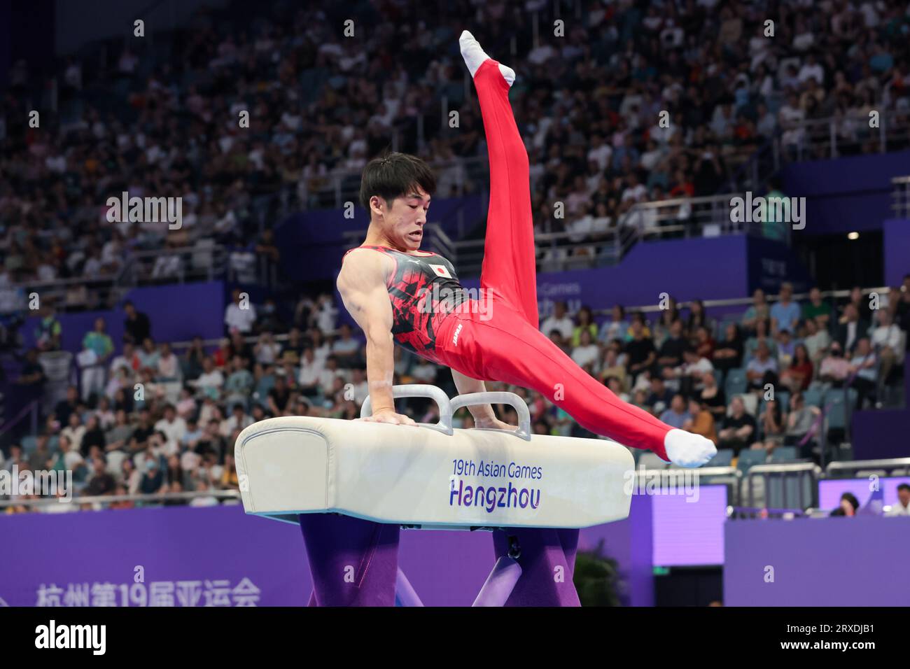 Hangzhou, China. 24th Sep, 2023. Ryota Tsumura (JPN) Artistic ...