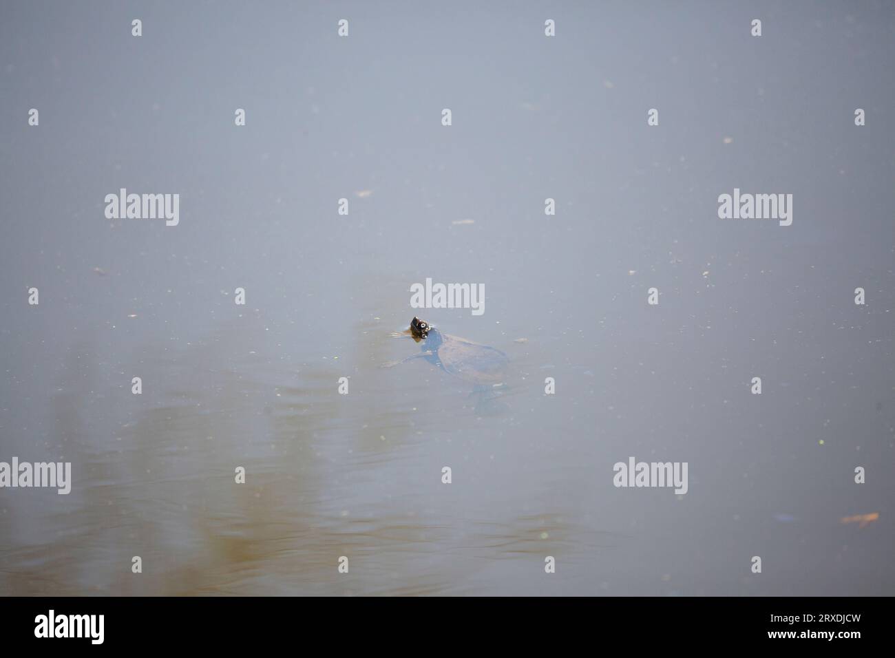 Map of shell lake hi-res stock photography and images - Alamy