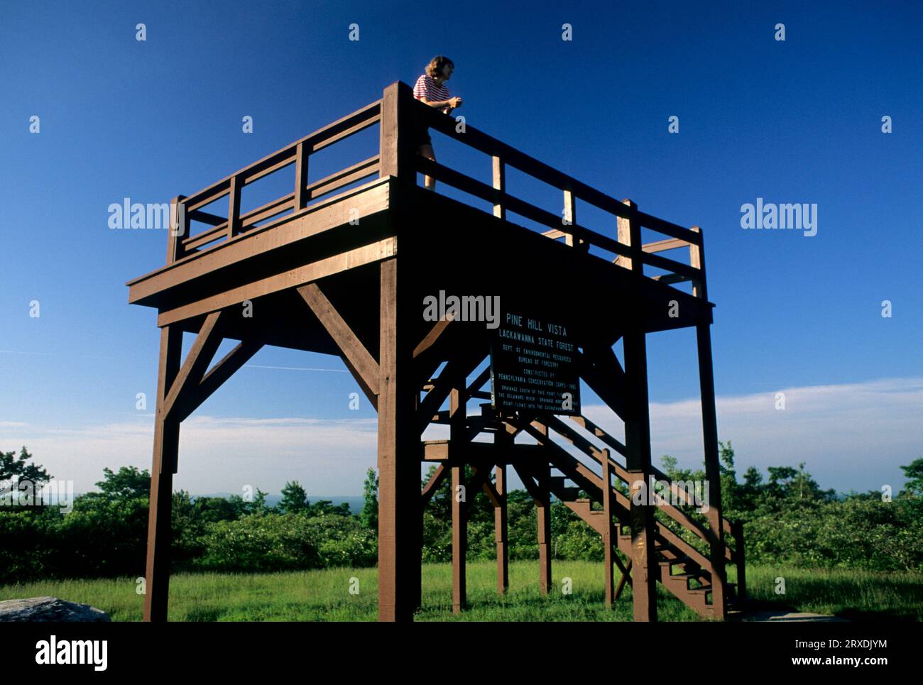 Pine hill observation deck hi-res stock photography and images - Alamy