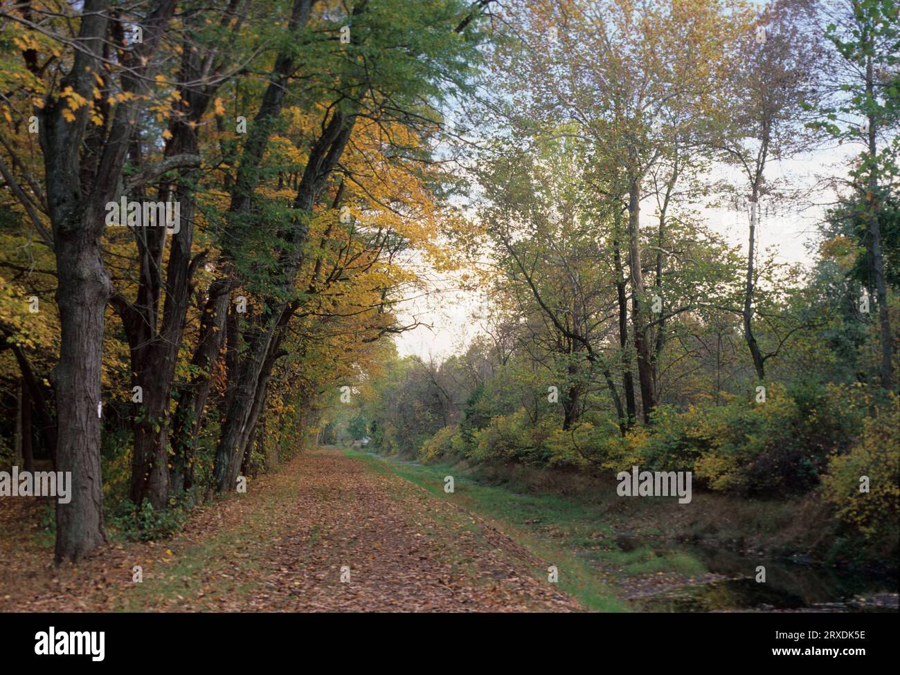 Delaware River Canal Trail, Tinicum Park, Delaware Canal State Park ...