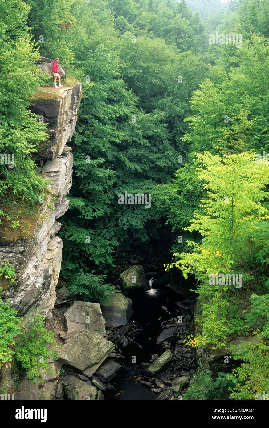 Shohola Gorge, Game Lands #180, Pennsylvania Stock Photo - Alamy