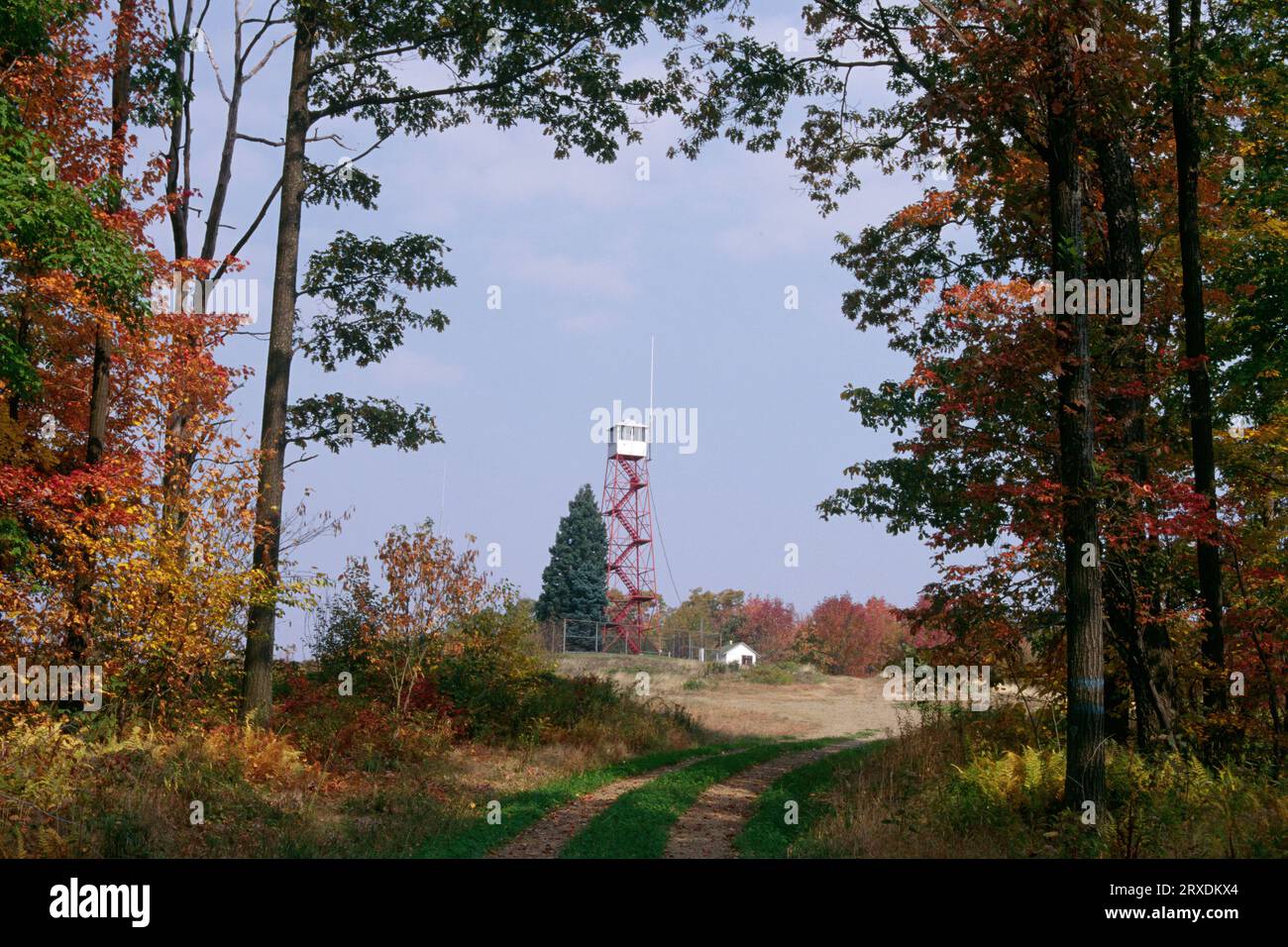 Pennsylvania forest road hi-res stock photography and images - Alamy