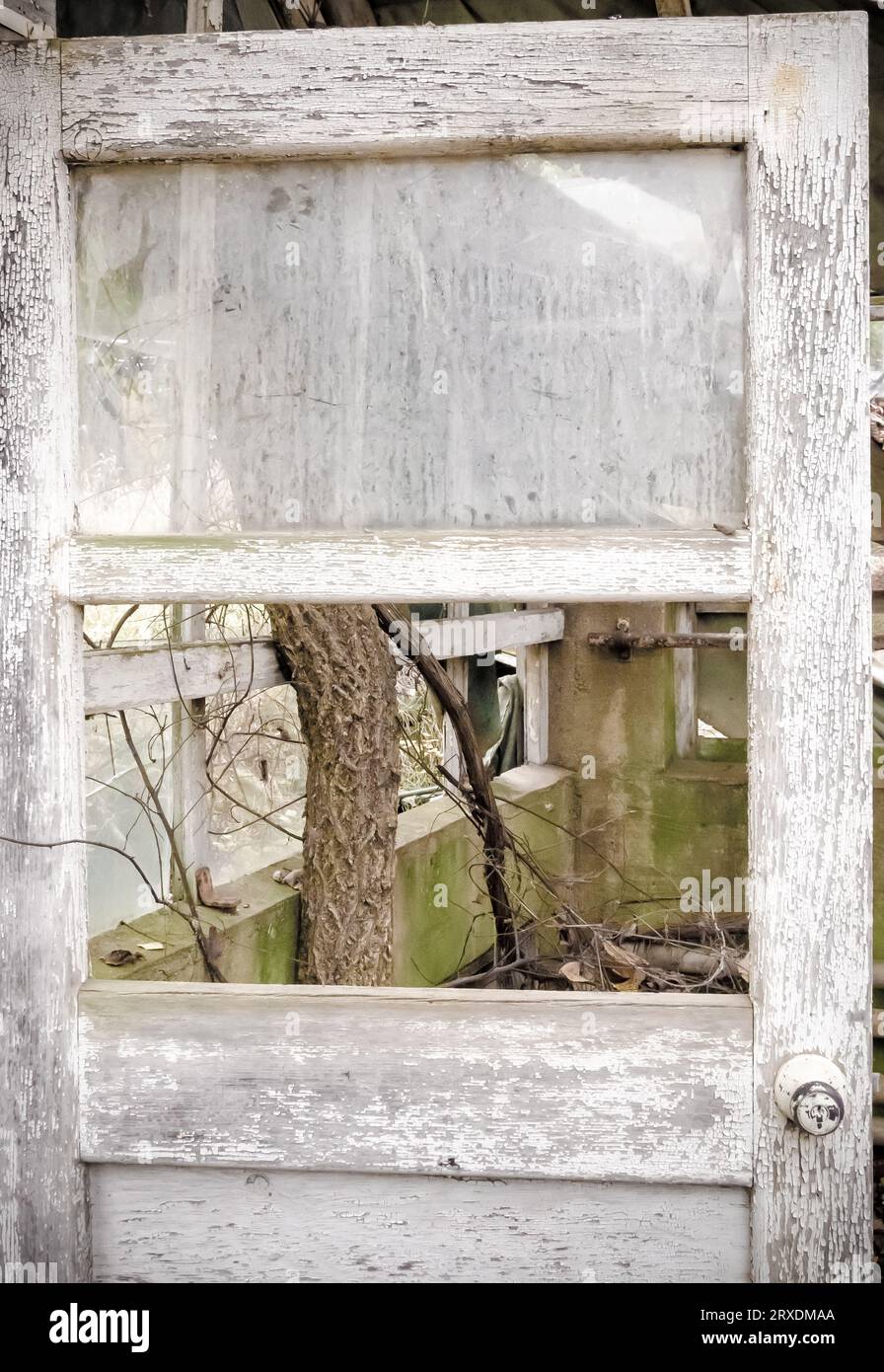 Greenhouse area at St. Elizabeths Mental Hospital in Washington DC ...