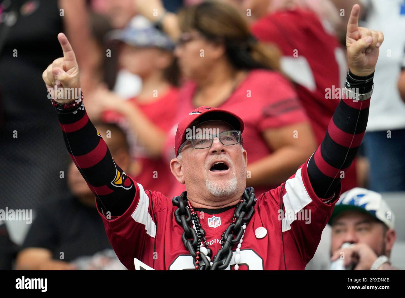 An Arizona Cardinals fan cheers on the Cardinals during the first half ...