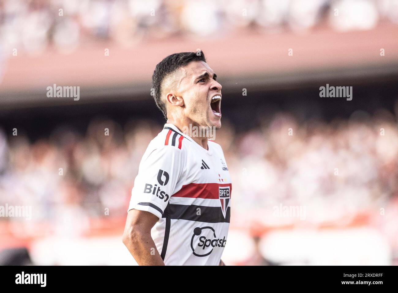 SÃO PAULO, BRAZIL - SEPTEMBER 24: Rodrigo Nestor of Sao Paulo ...