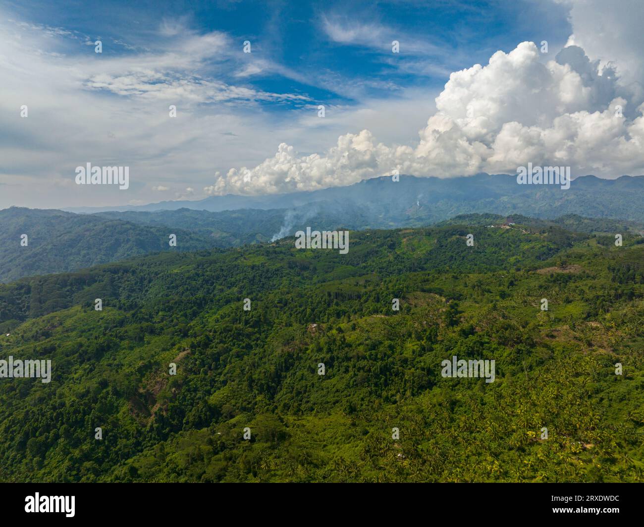 Tropical mountain with lush vegetation and evergreen forest. Blue sky ...