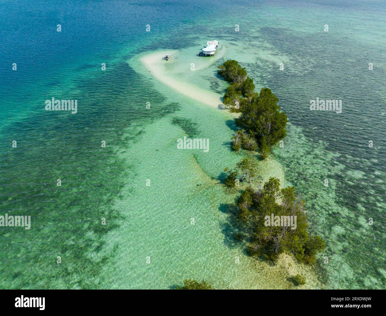 Beautiful turquoise ocean water and waves. Sandbar and mangroves ...