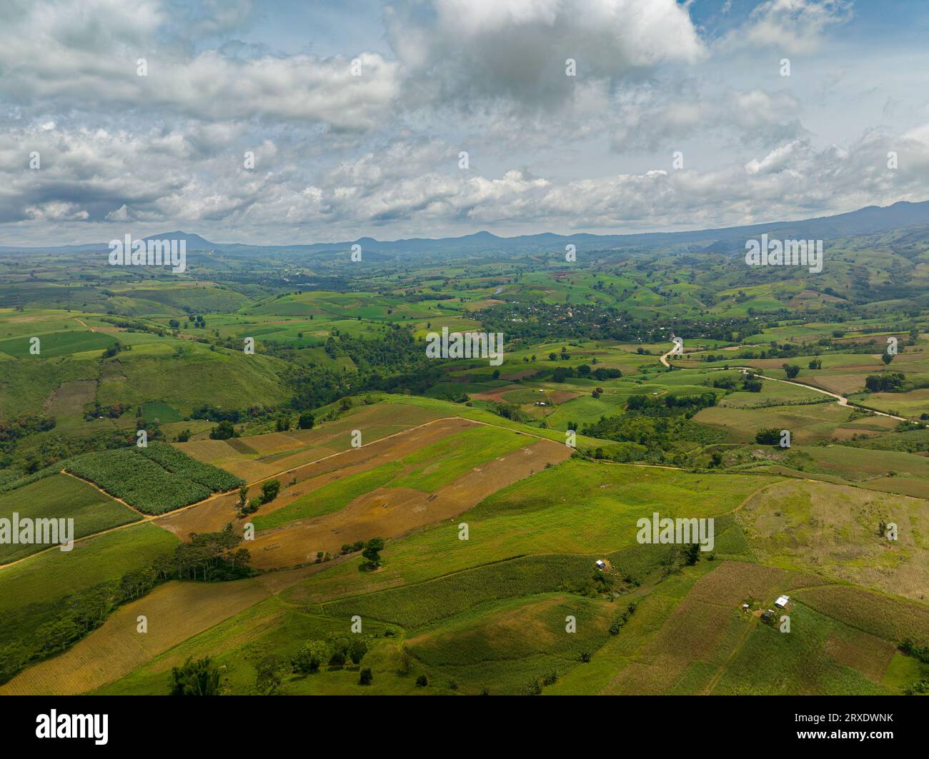 Aerial view of agricultural land and paddy fields in Bukidnon. Mindanao ...