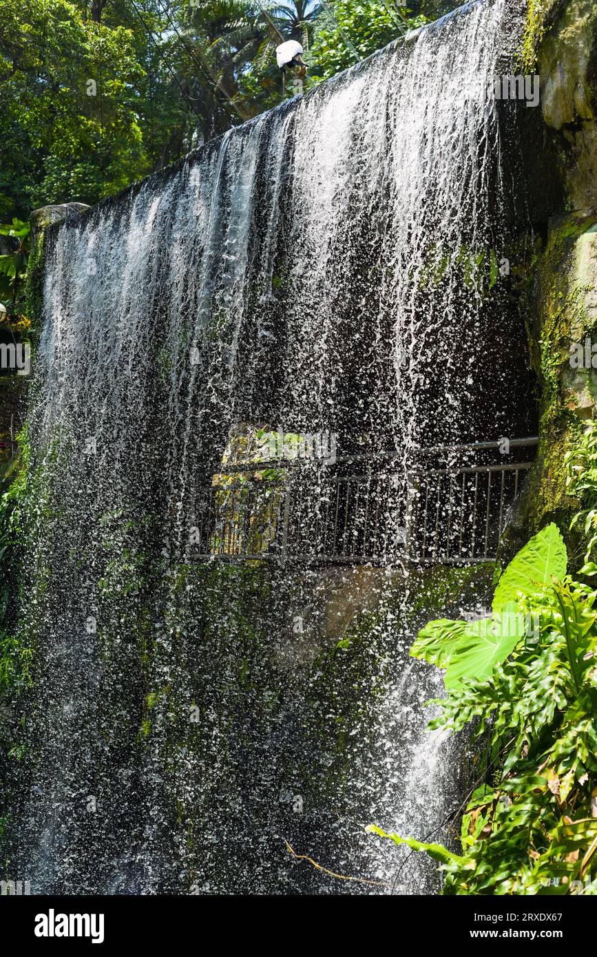 Waterfall in bird park of Kuala Lumpur, Malaysia Stock Photo - Alamy