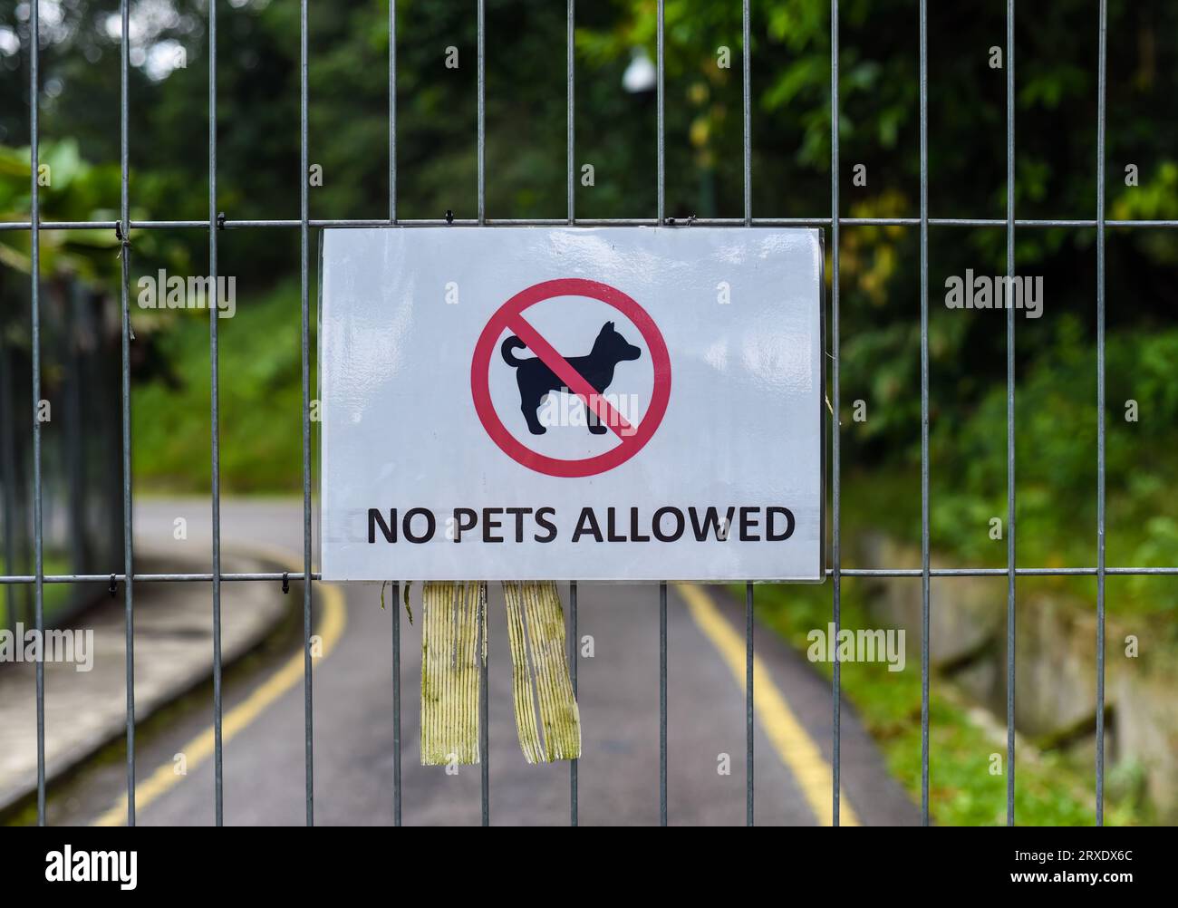 No pets allowed sign in the park in Malaysia Stock Photo - Alamy