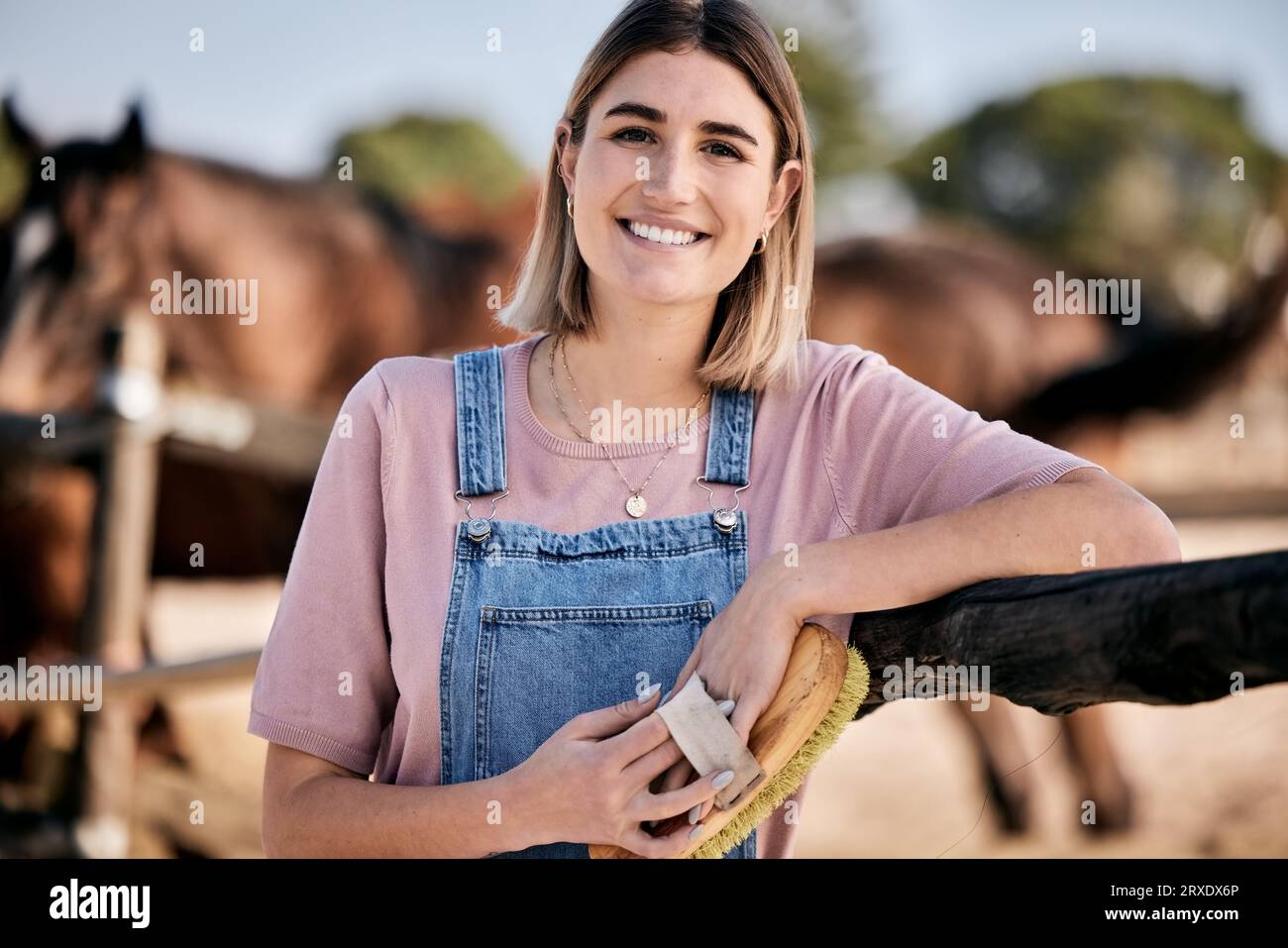 Horse, portrait and woman with brush on ranch for animal, farm pet and ...