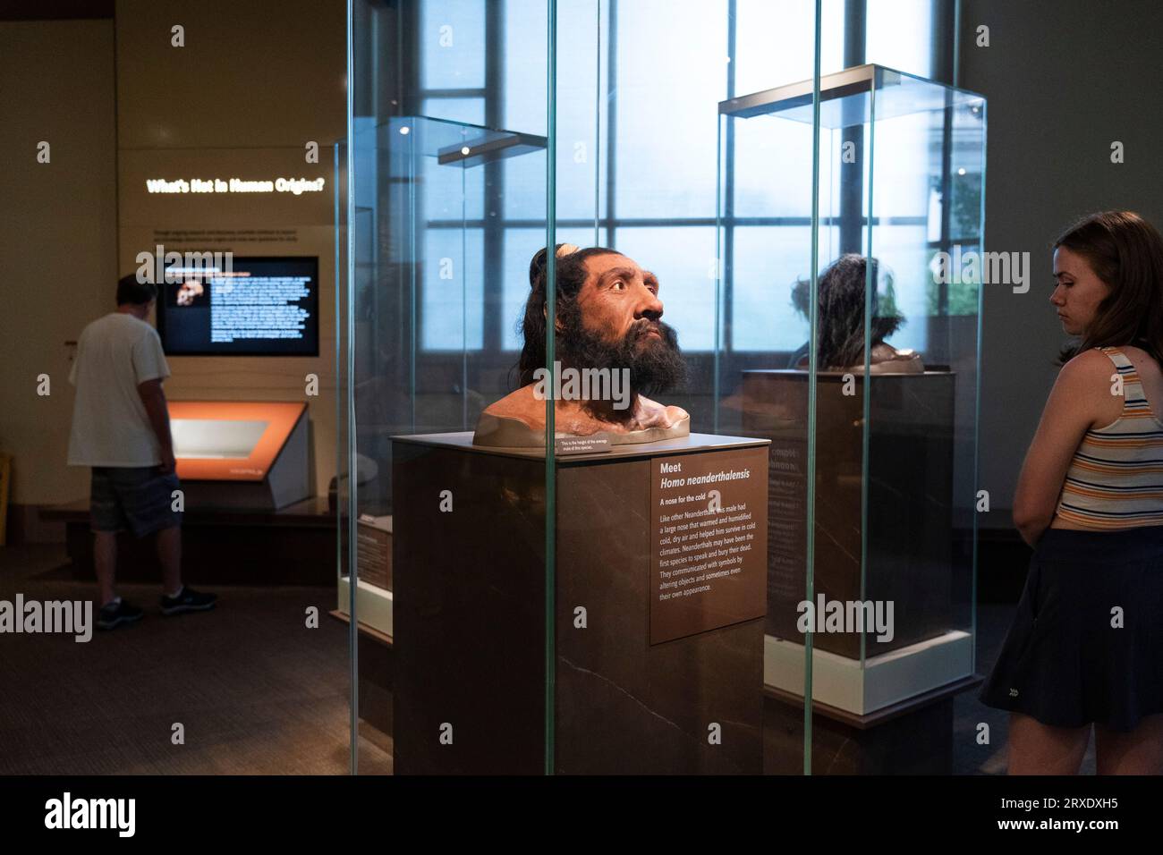 People visit exhibits inside the Smithsonian Hall of Human Origins ...
