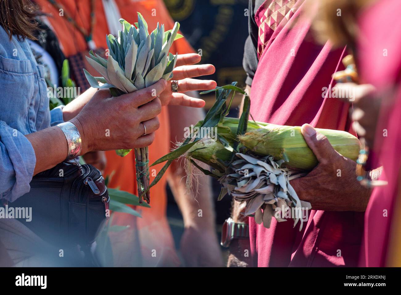 San Francisco, USA. 24th Sep, 2023. Crew from the Polynesian voyaging ...