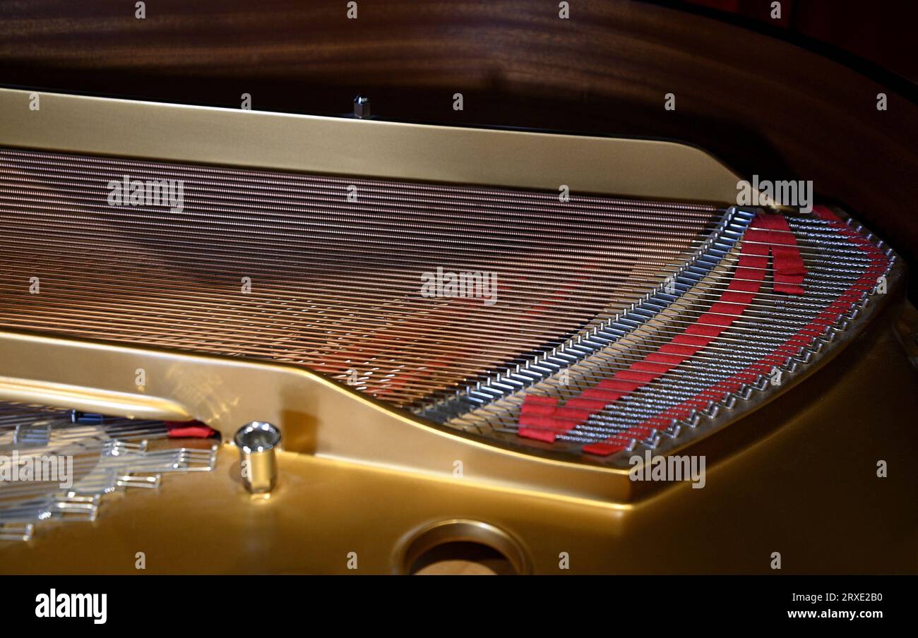 Steinway and Sons grand piano tempered high carbon steel and copper ...