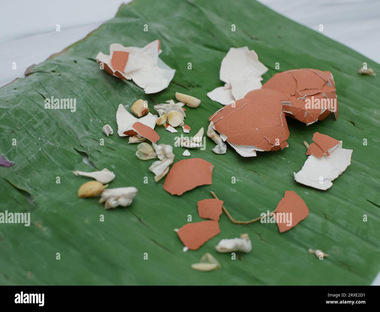 eggshell waste on banana leaves Stock Photo - Alamy