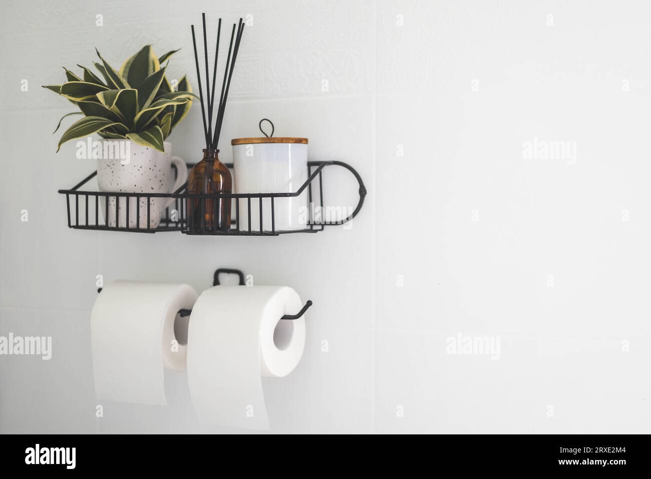 Rolls of paper in the toilet, flower, diffuser of black and white ...