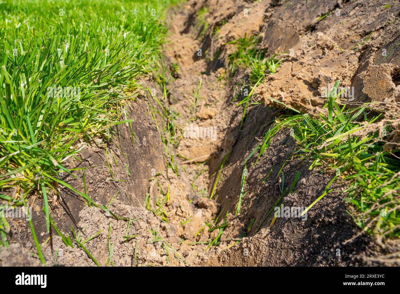 A ditch dug in the lawn for laying pipes and installing irrigation ...