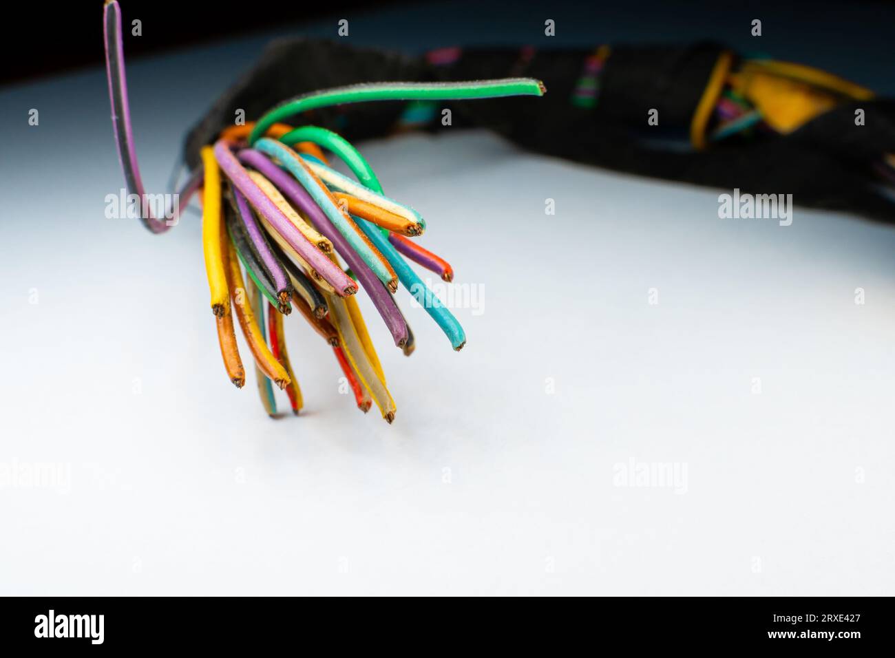 Cut off car electrical wiring from the sensor, close-up. Small multi ...