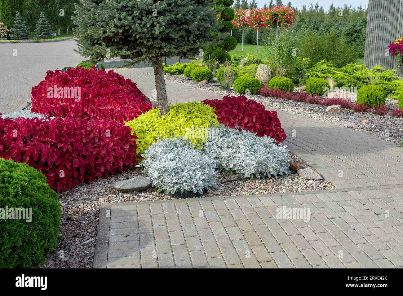 Frontyard with Paver Walkway. Beautiful Garden path made of natural ...