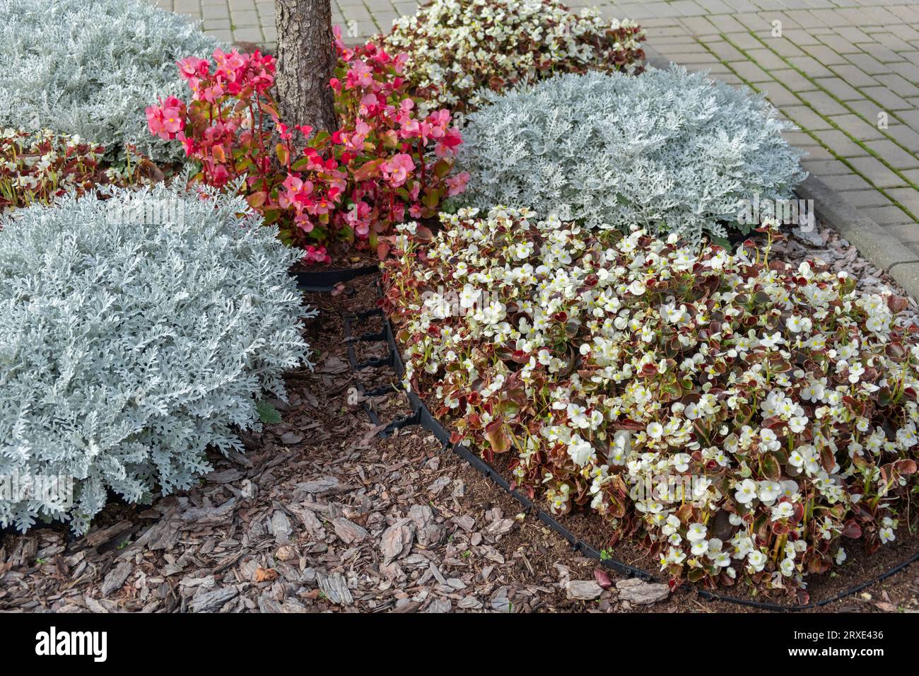 Frontyard with Paver Walkway. Beautiful Garden path made of natural ...
