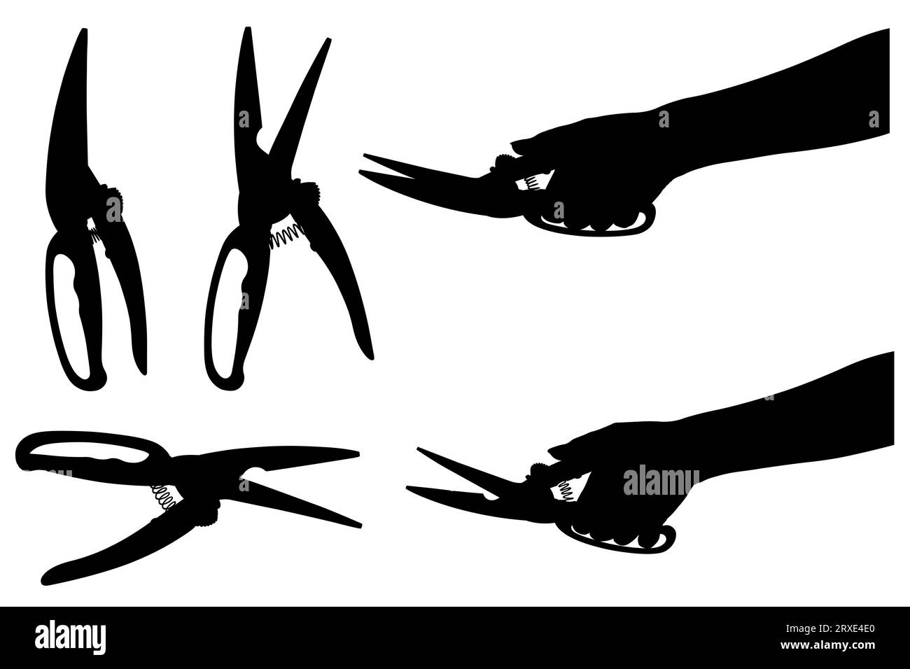 Set of different kitchen scissors isolated on white Stock Photo - Alamy