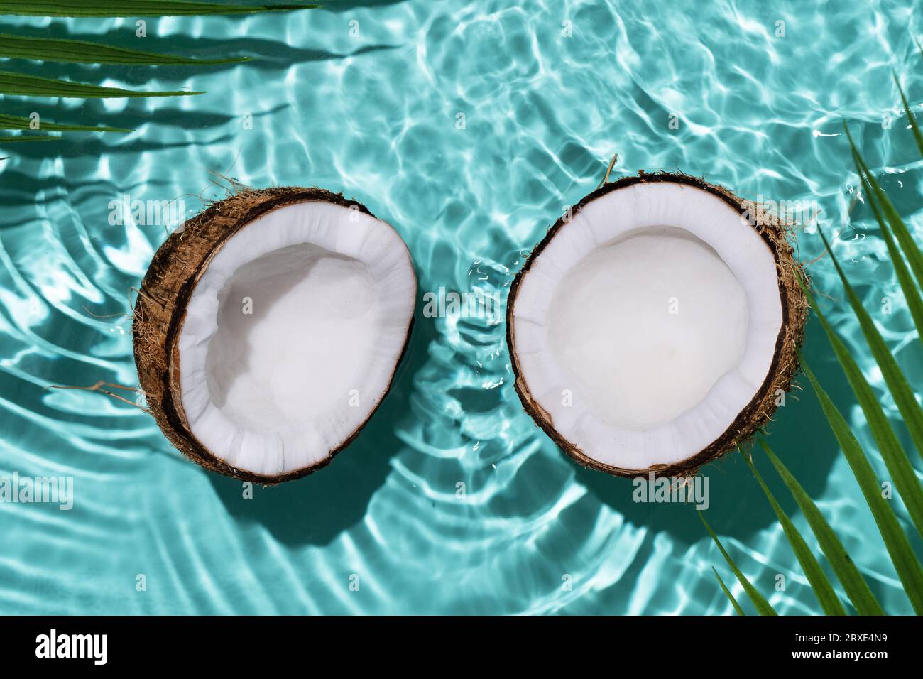 Summer background with coconuts on water background with water splashes ...