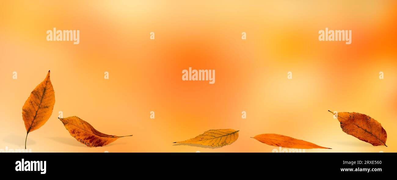 Falling of orange hi-res stock photography and images - Alamy