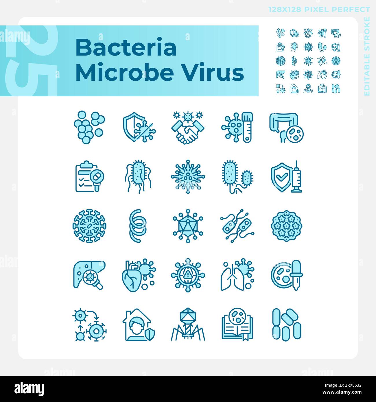 Bacteria helicobacter pylori Stock Vector Images - Alamy
