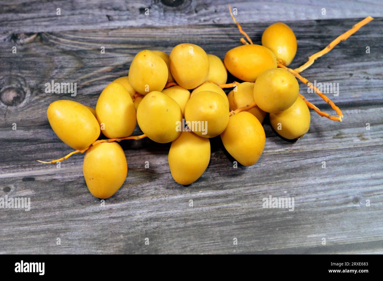Yellow Barhi dates, botanically classified as Phoenix dactylifera ...