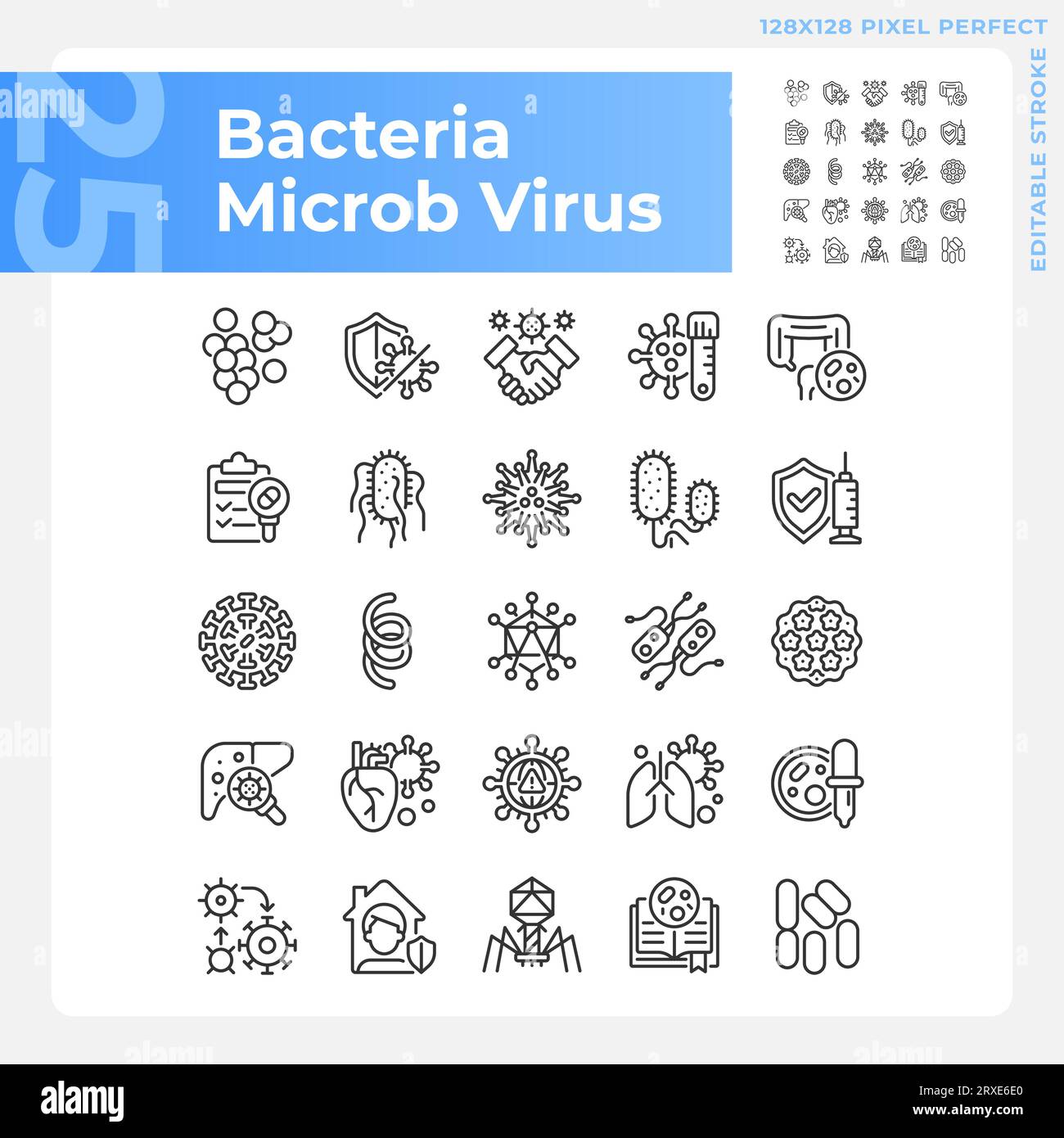 Bacteria cocci Stock Vector Images - Alamy