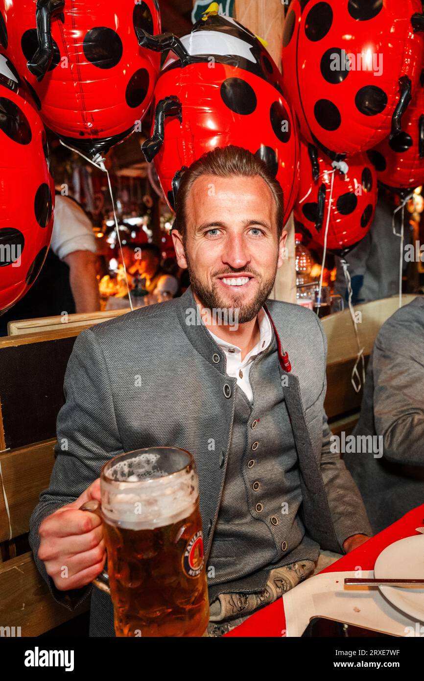 Harry kane fc bayern munchen hi-res stock photography and images - Alamy