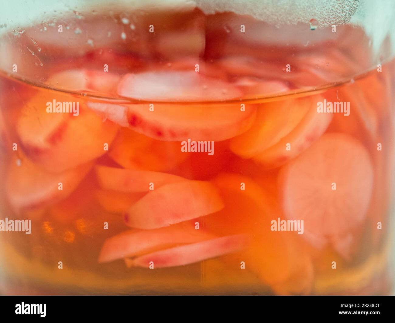 Pickled Radishes in a glass jar with brine liquid, red skin white flesh ...