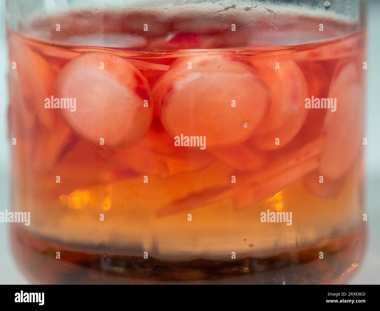 Pickled Radishes in a glass jar with brine liquid, red skin white flesh ...