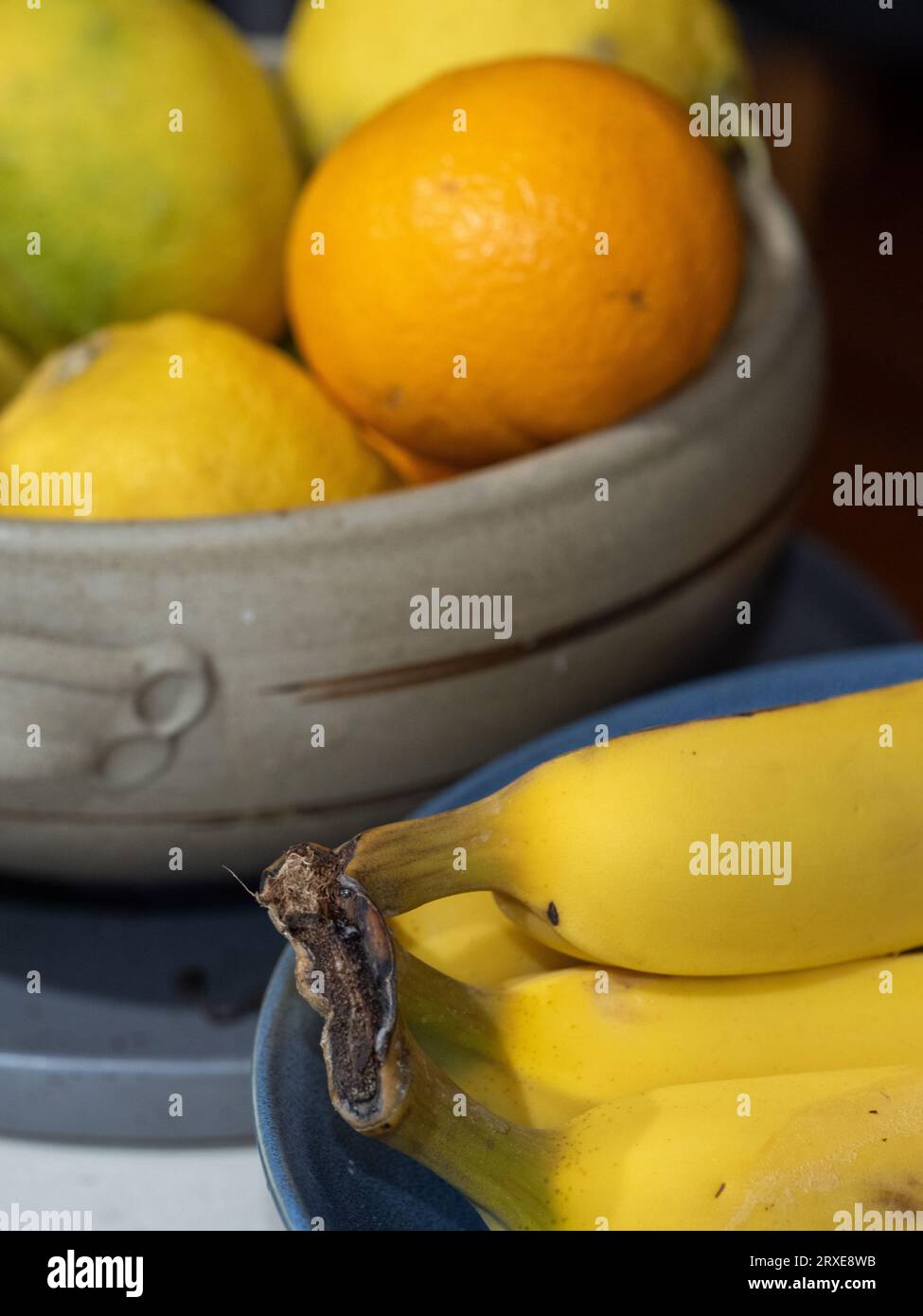 Fruits, orange and lemons and bananas in fruit bowls on the kitchen ...