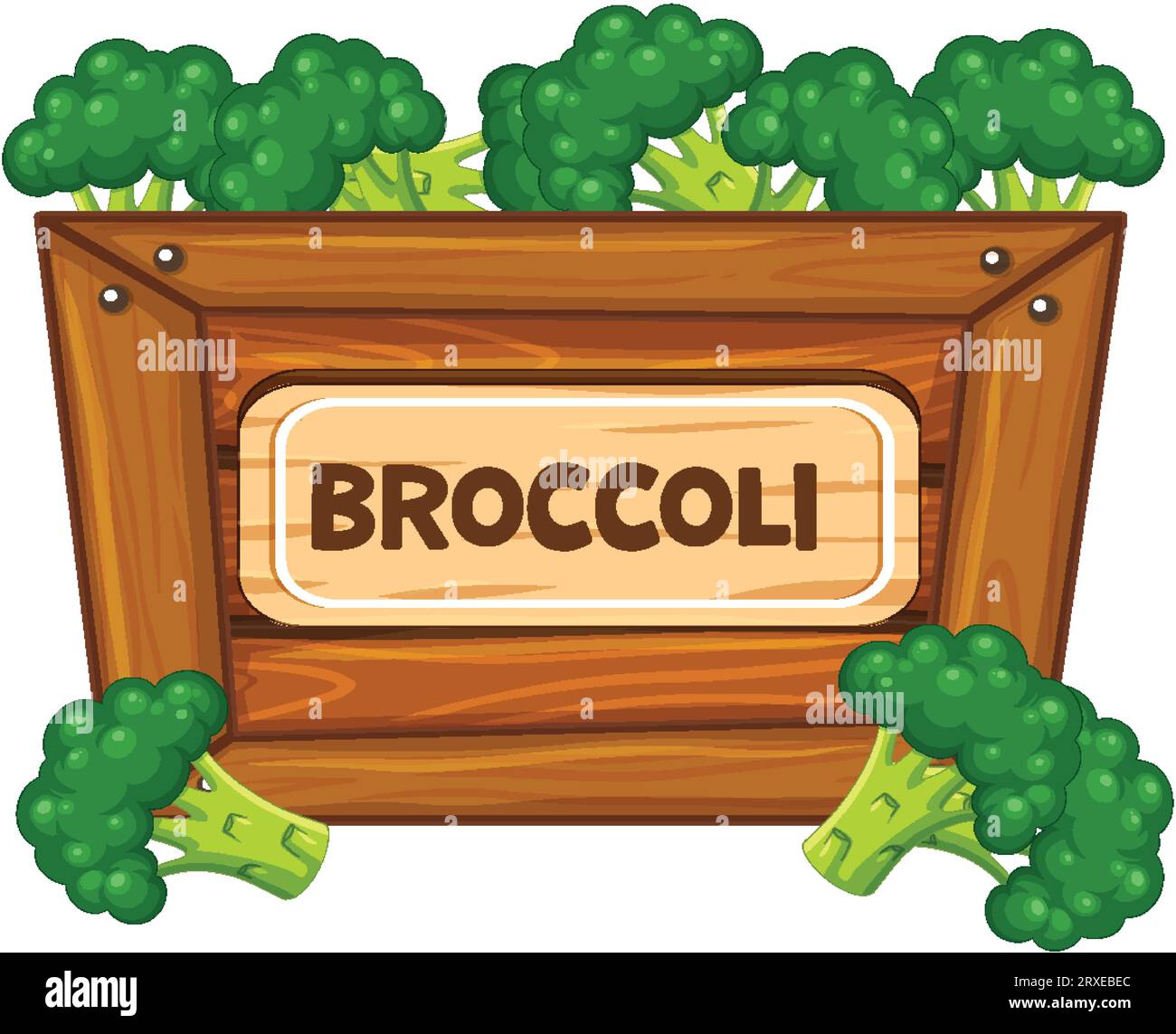 Colorful vector illustration of broccoli displayed in a wooden box with ...
