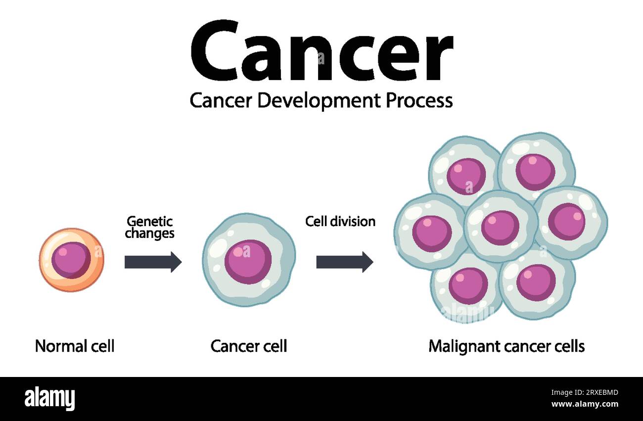 Illustrated infographic depicting the development and processing of ...