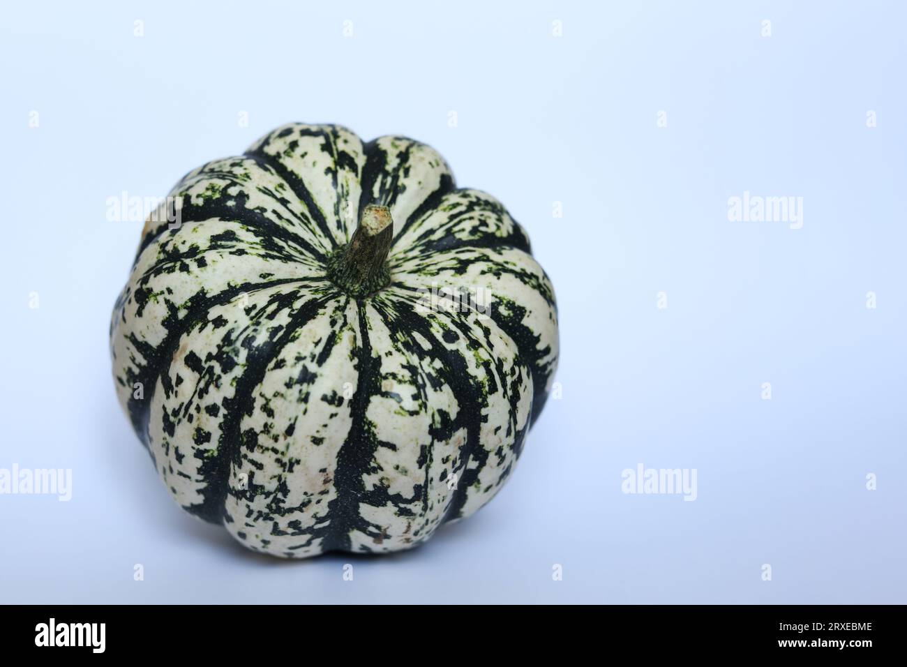 Tiger pumpkins hi-res stock photography and images - Alamy